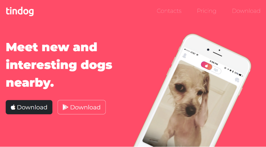 GitHub - orpazs/Tindog