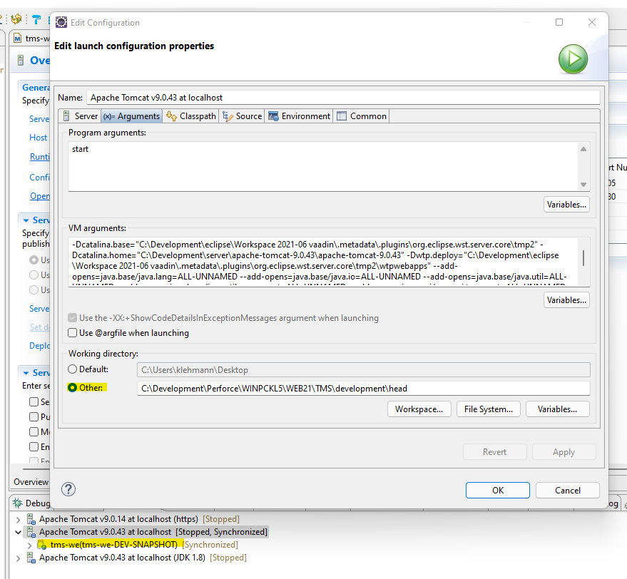 Vaadin Application Failed To Start As Maven War Build With Dedicated Tomcat Server In The Dev