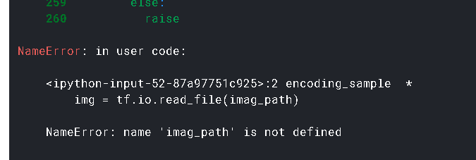 Imgpath And Labels In Encodingsinglesample Are Not Passed As Argument Or Not Initialized 
