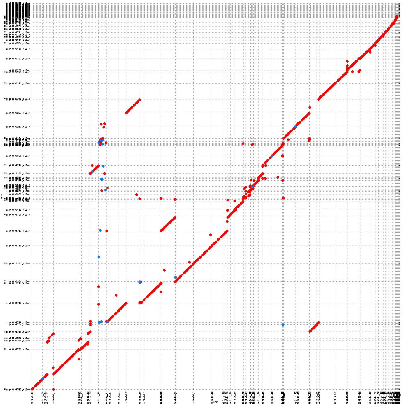 Unexpected Synteny Graph Results · Issue #75 · mummer4/mummer · GitHub