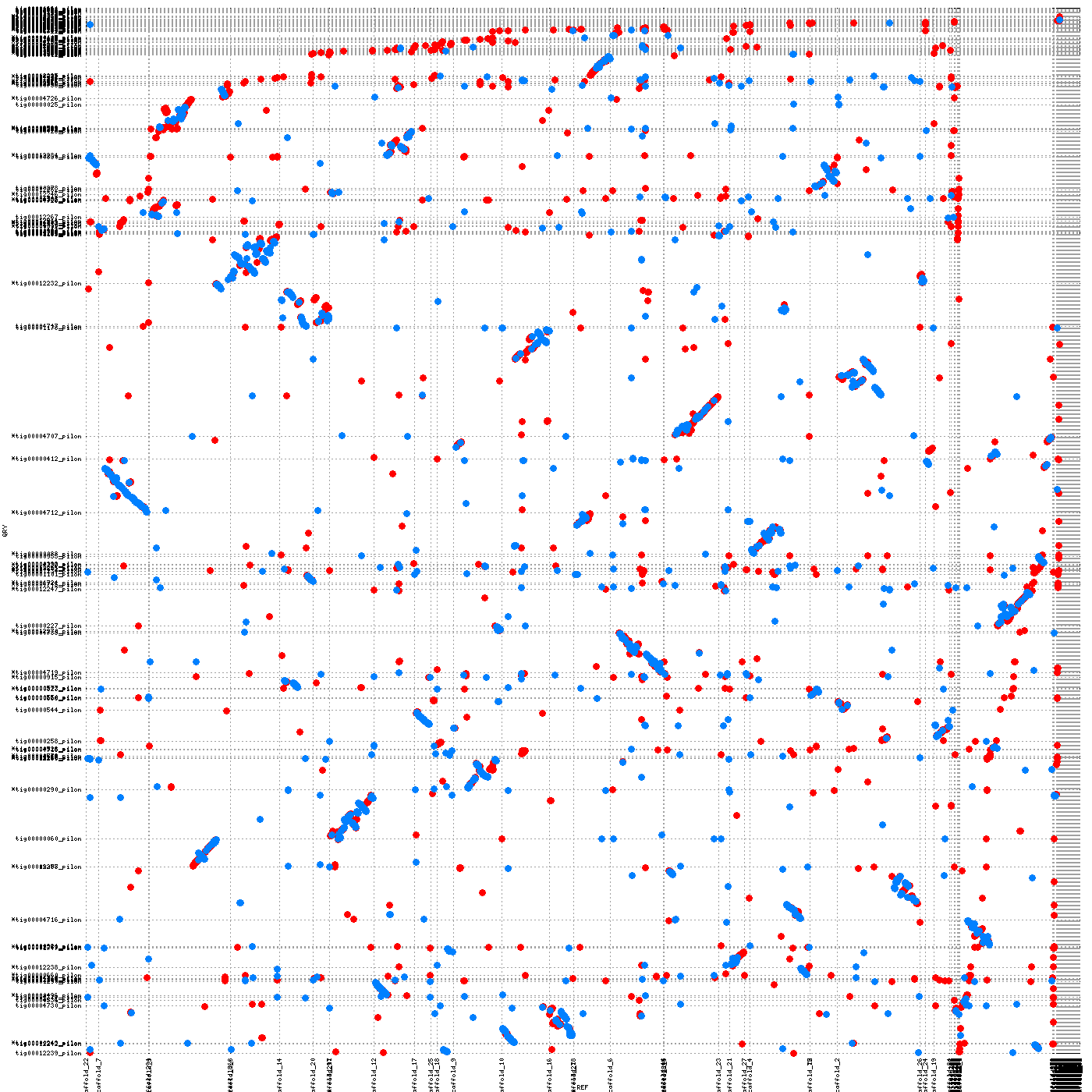Unexpected Synteny Graph Results · Issue 75 · Mummer4 Mummer · Github