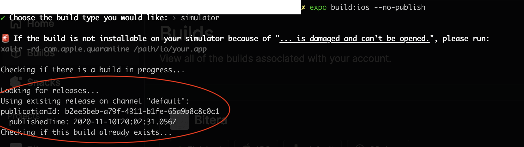 No Publish Option Is Publishing The Build · Issue 10981 · Expoexpo · Github