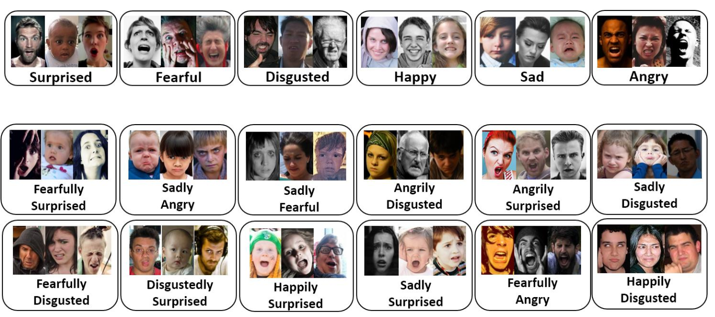 GitHub - neko941/Facial-Emotion-Recogniction-Papers