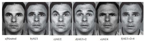 GitHub - neko941/Facial-Emotion-Recogniction-Papers