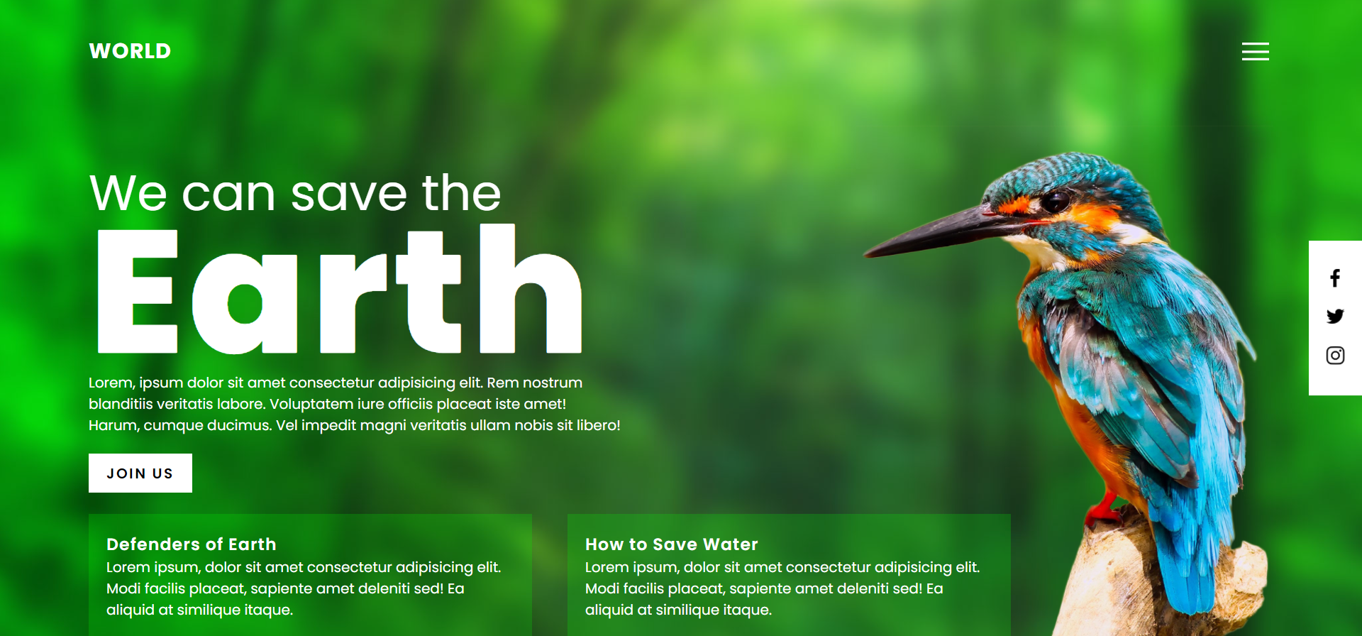 GitHub - DmitryVelichko/save-the-earth: Parallax Website Built with ...