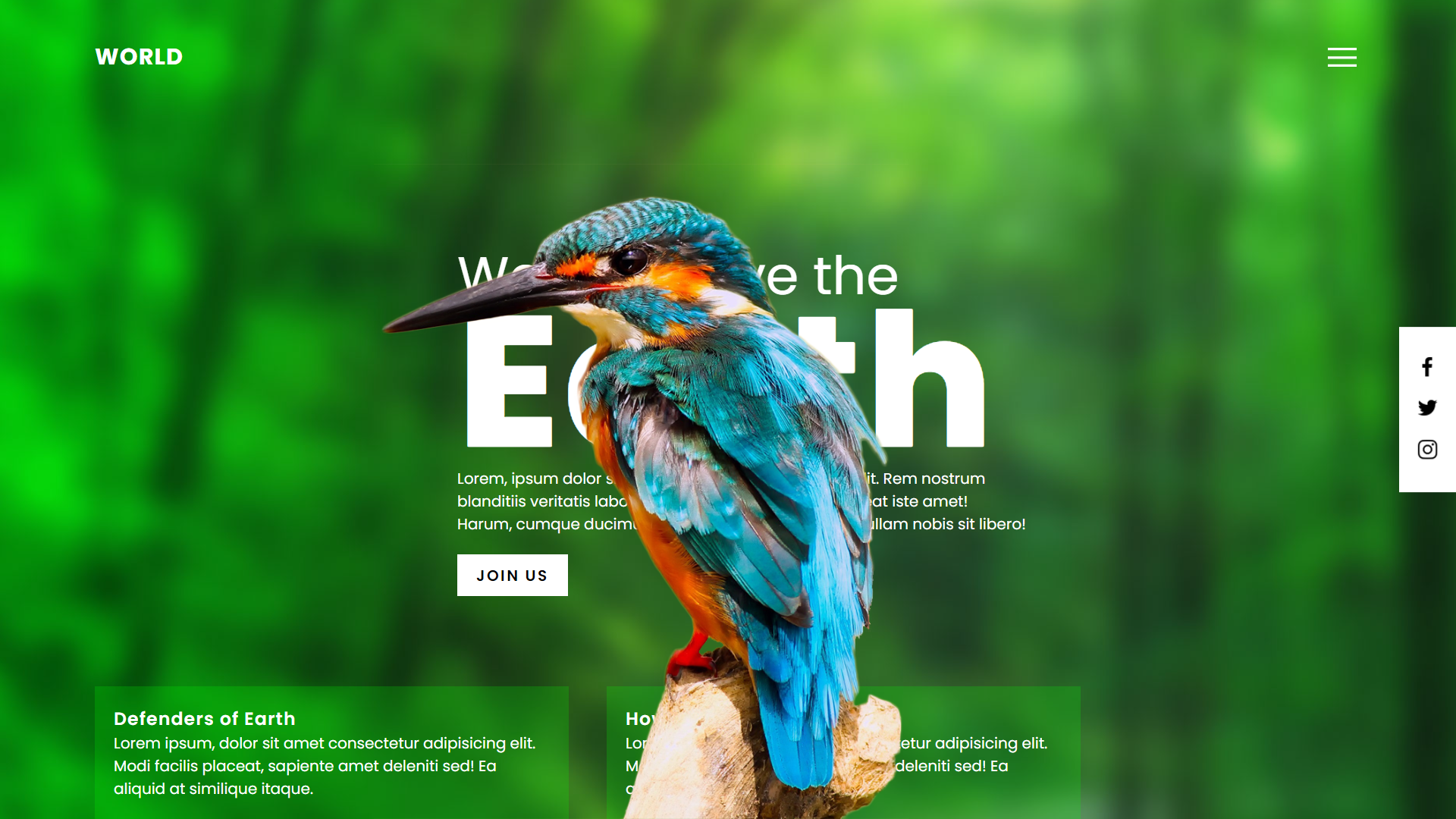 GitHub - DmitryVelichko/save-the-earth: Parallax Website Built with ...