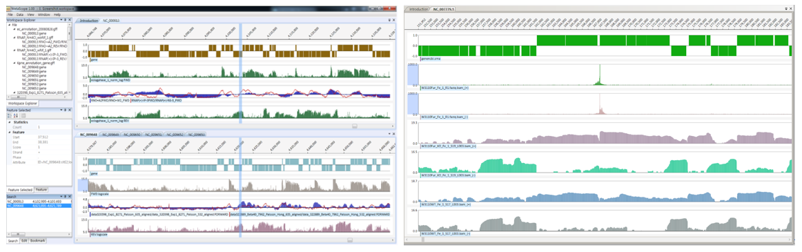 GitHub - SBML-Kimlab/MetaScope: MetaScope is a genome browser with integrative functions, highly ...