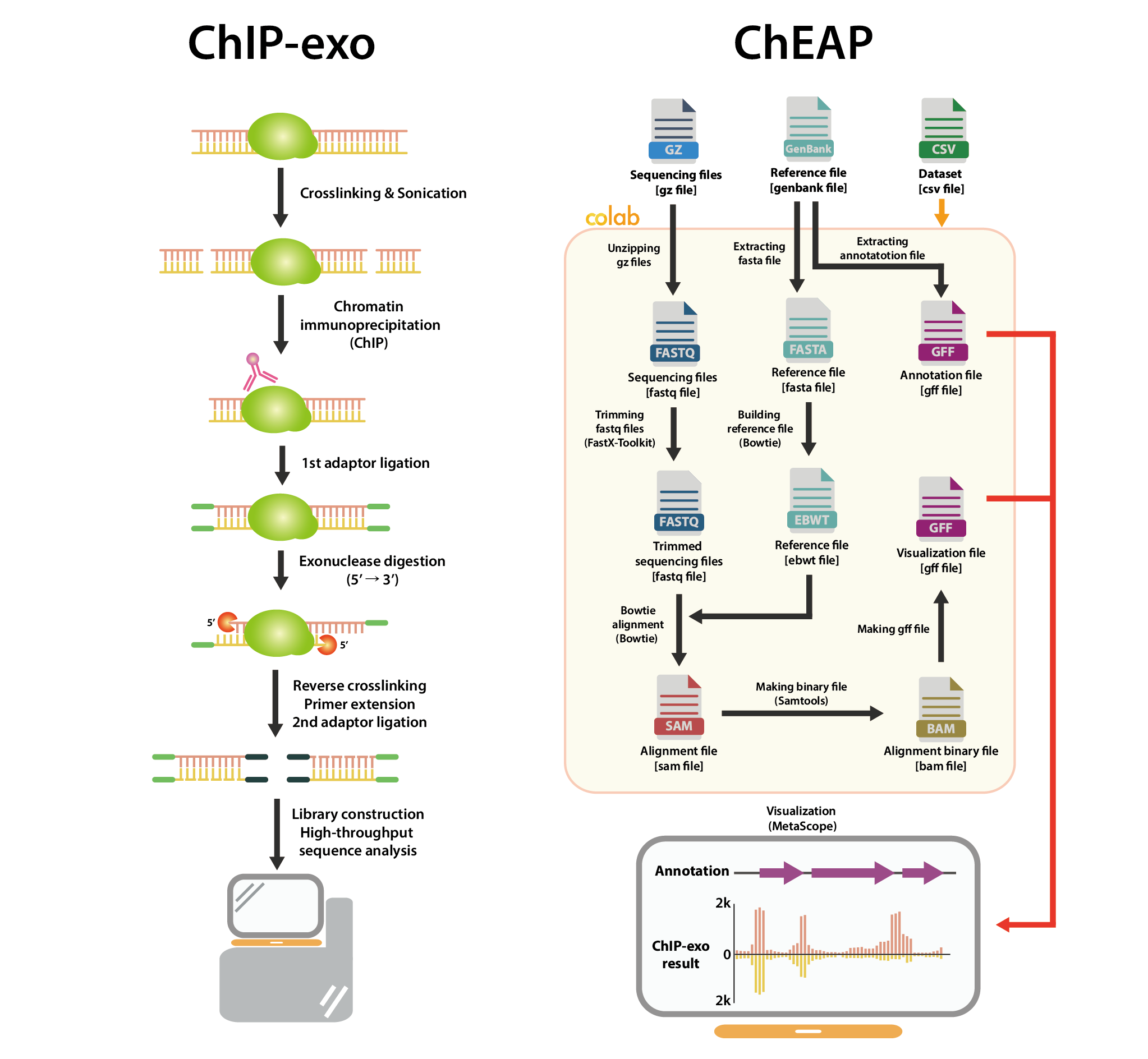 GitHub - SBML-Kimlab/ChEAP