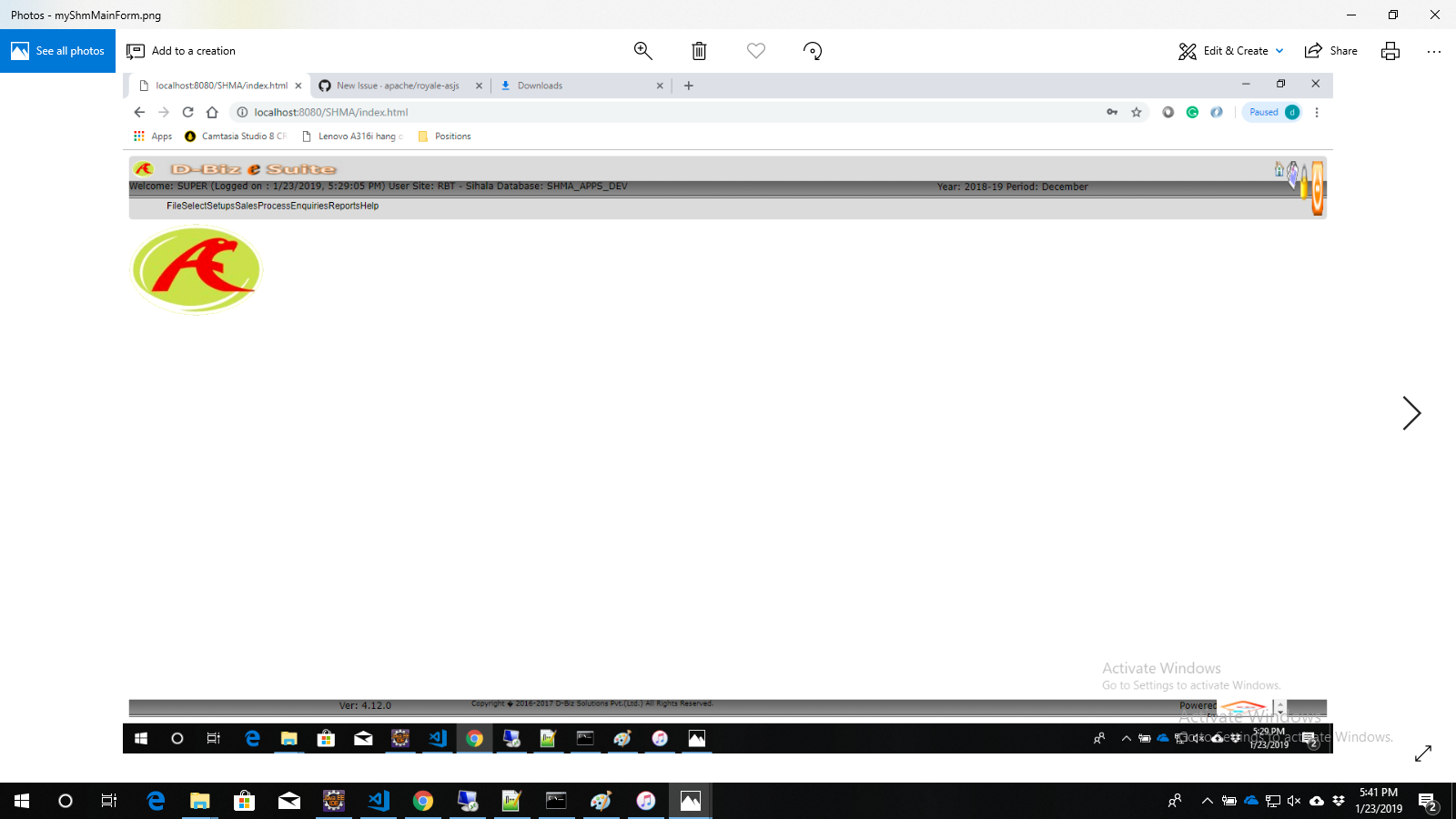 Some Css Styling Issues · Issue #389 · apache/royale-asjs · GitHub