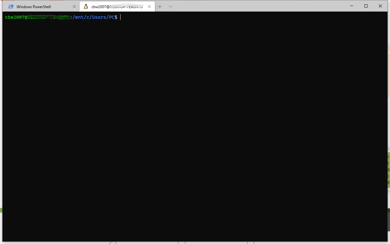The startingDirectory doesn't works with //wsl$/... · Issue #9047 · microsoft/terminal · GitHub