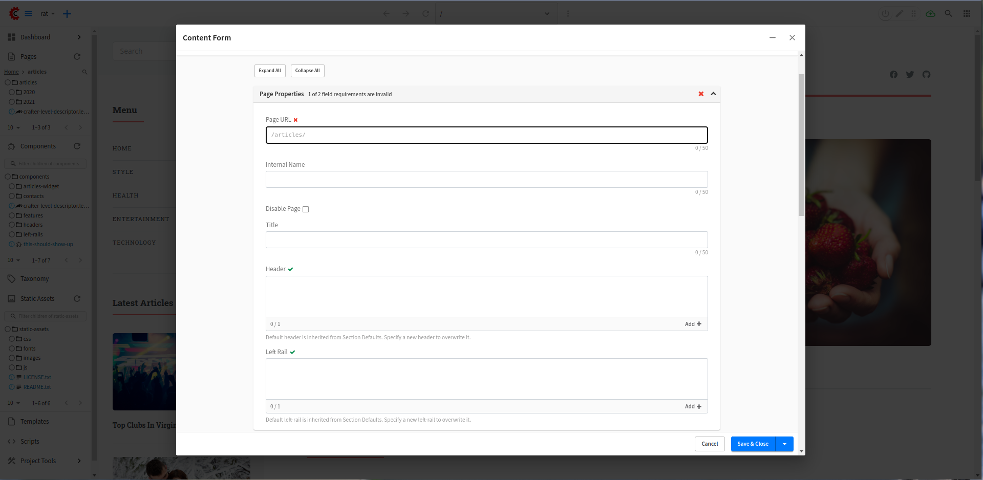 [studio-ui] Page-URL field is calculated as 2 required fields · Issue ...