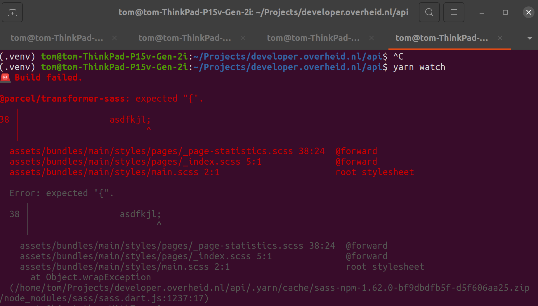 Watch Stops On Scss Error · Issue 9060 · Parcel Bundler Parcel · Github