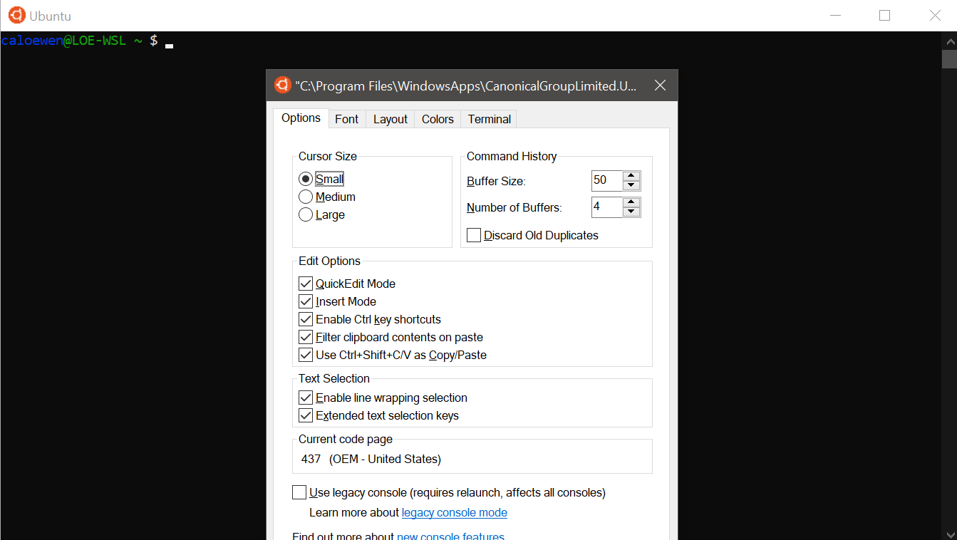Intermittently broken CTRL+SHIFT+V · Issue #4452 · microsoft/WSL · GitHub