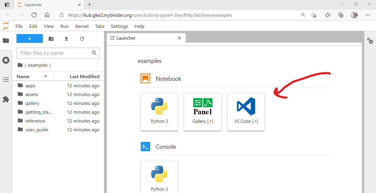 Enable running pylance on code-server · Issue #1172 · microsoft/pylance-release · GitHub