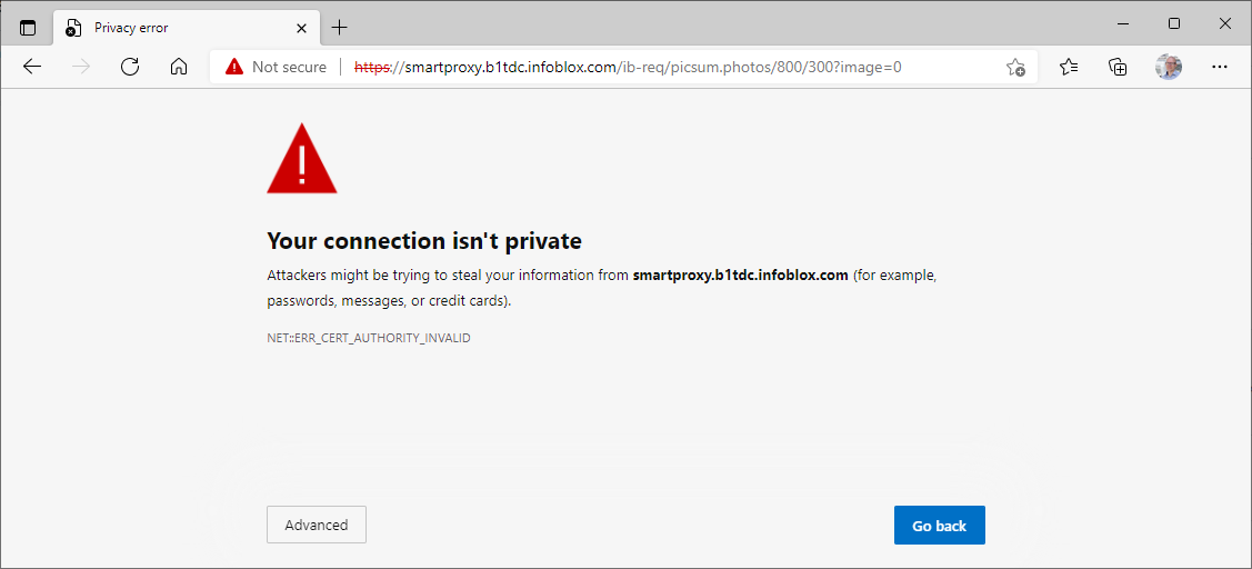 Image on Panel home page not showing · Issue #3042 · holoviz/panel · GitHub