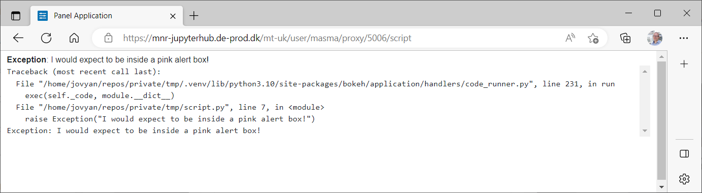 Exception no longer shown inside pink alert · Issue #4828 · holoviz/panel · GitHub