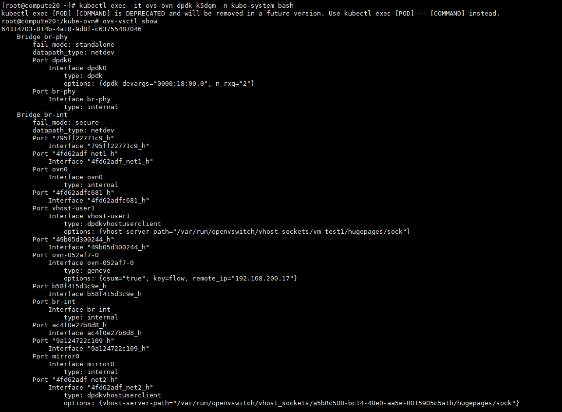 ovs-ovn-dpdk启动报错 · Issue #1777 · kubeovn/kube-ovn · GitHub
