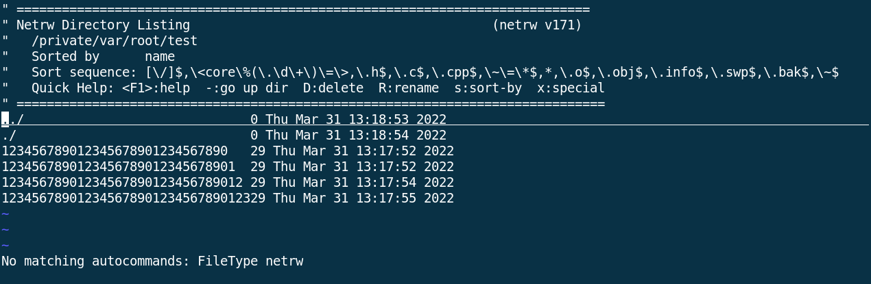 Netrw fails to open file with long filename · Issue #10055 · vim/vim · GitHub