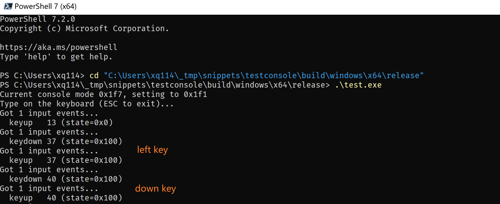 Direction keys are not marked 'enhanced' in VSCode terminal · Issue ...