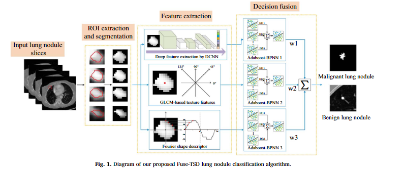 Fusing Texture Shape And Deep Model Learned Information At Decision