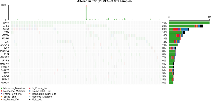 lots of bright lines on the oncoplot · Issue #345 · PoisonAlien/maftools · GitHub