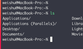 The prompt now showing properly · Issue #3060 · starship/starship · GitHub