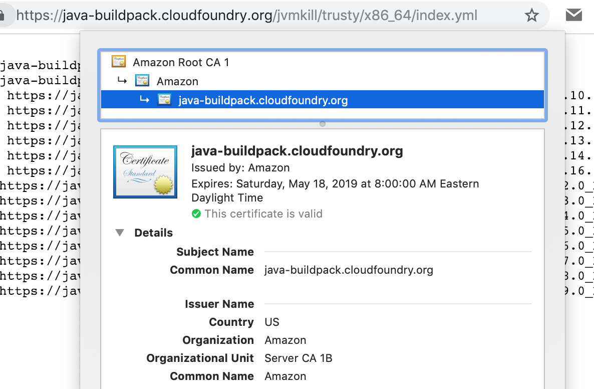dilemma on HTTPS_Proxy setting · Issue #62 · cloudfoundry-attic/cfdev · GitHub