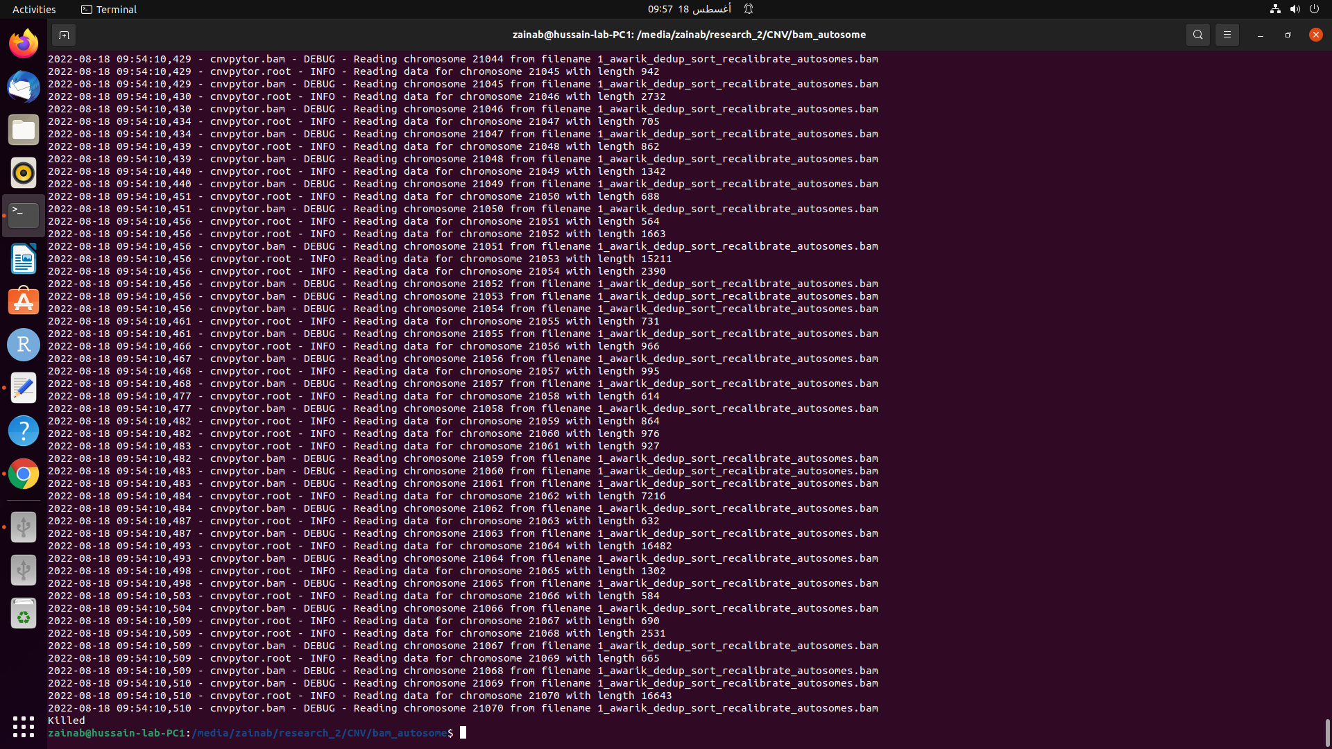after a command is running, stopped with "killed", the saved file cannot read or missing · Issue ...