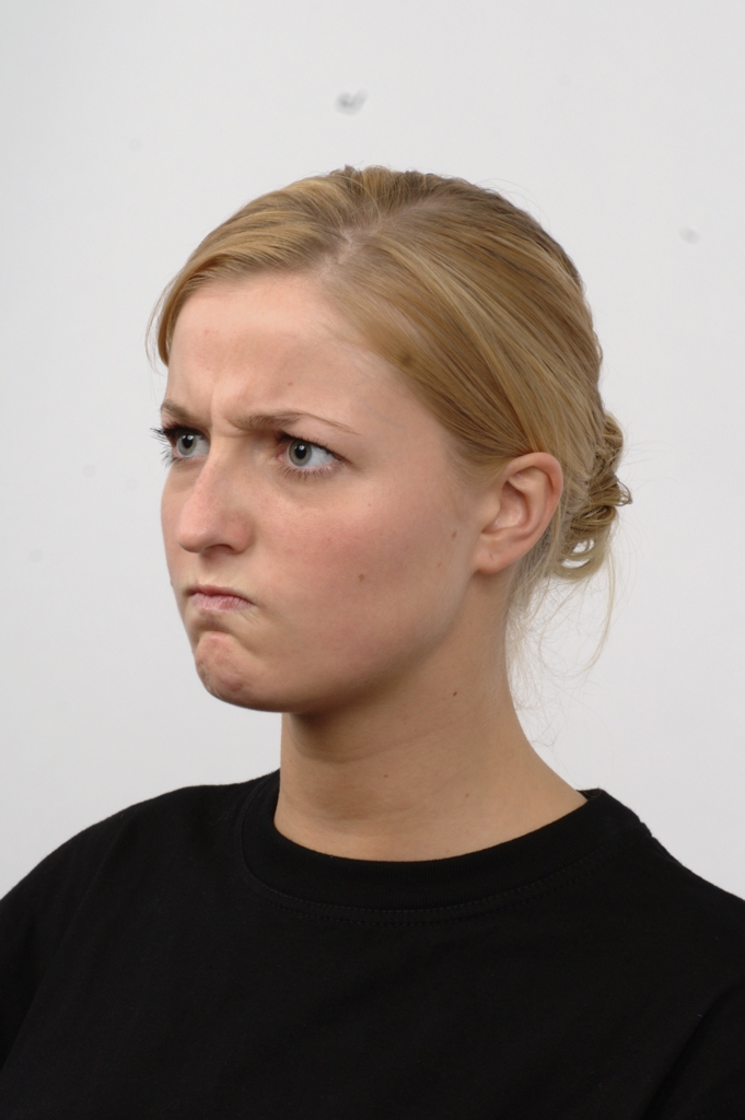 Head Pose Issue · Issue #850 · TadasBaltrusaitis/OpenFace · GitHub