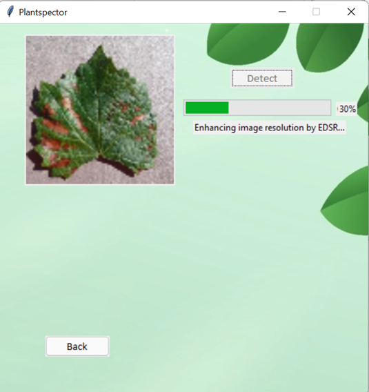 GitHub - DKg156/plant-spector: Python app for plant disease detection ...