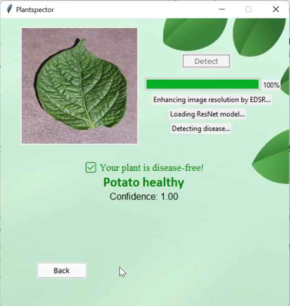 GitHub - DKg156/plant-spector: Python app for plant disease detection ...