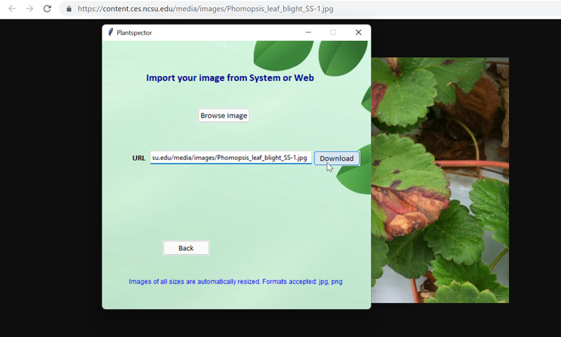 GitHub - DKg156/plant-spector: Python app for plant disease detection ...