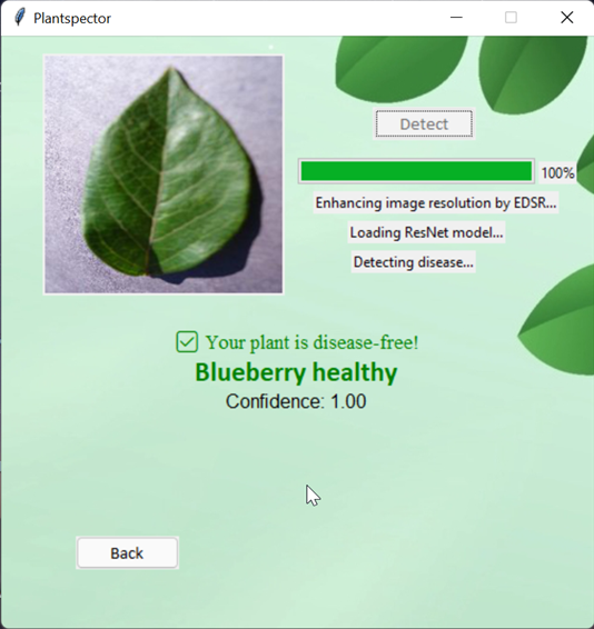 GitHub - DKg156/plant-spector: Python app for plant disease detection ...