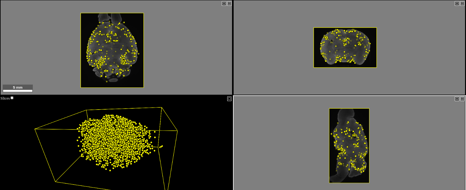 Making precomputed annotation layer · Issue #227 · google/neuroglancer · GitHub