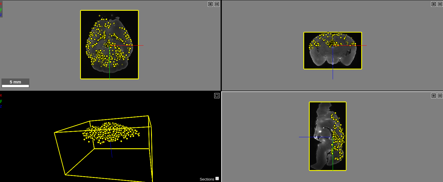 Making precomputed annotation layer · Issue #227 · google/neuroglancer · GitHub