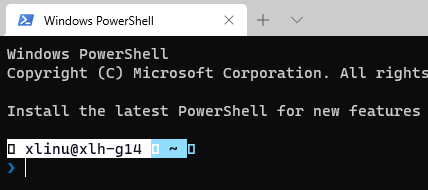 Out-of-box terminal cannot display Emoji · Issue #9683 · microsoft ...