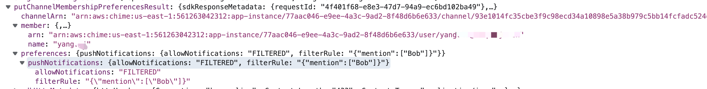 Chime Sdk Messaging Using Filter Rules To Filter Messages Not Working · Issue 4233 · Awsaws 3377