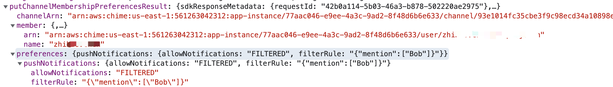 Chime Sdk Messaging Using Filter Rules To Filter Messages Not Working · Issue 4233 · Aws Aws