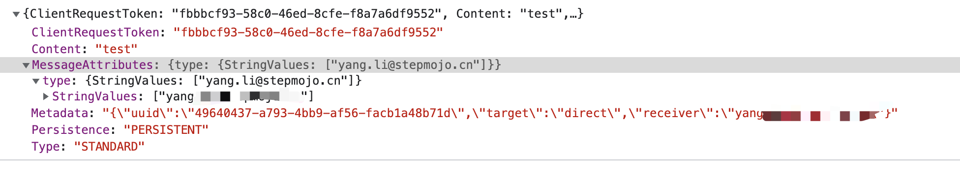 Chime Sdk Messaging Using Filter Rules To Filter Messages Not Working · Issue 4233 · Aws Aws