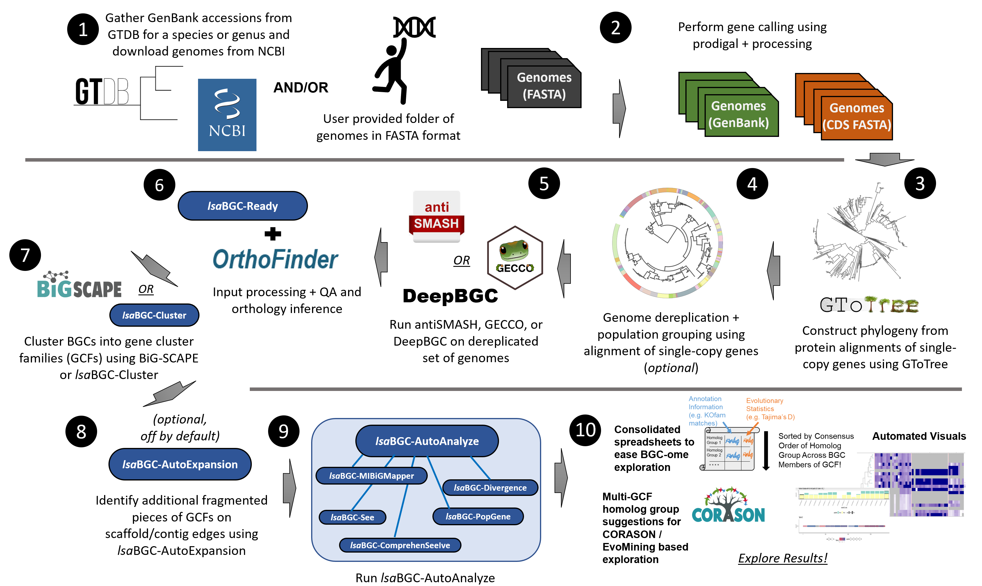 GitHub - Kalan-Lab/lsaBGC: lsaBGC - Lineage Specific Analysis of ...