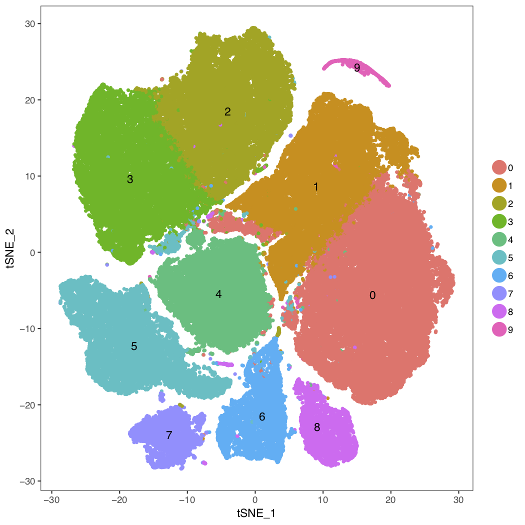 Visualize Cell Identity Already Stored In The Original Matrix Not In Metadata · Issue 1595