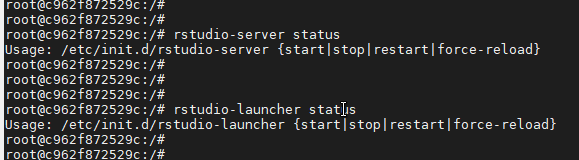 How to verify status of services · Issue #318 · rstudio/rstudio-docker-products · GitHub