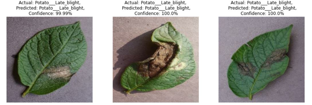 GitHub - sumithskk/potato-disease-prediction-