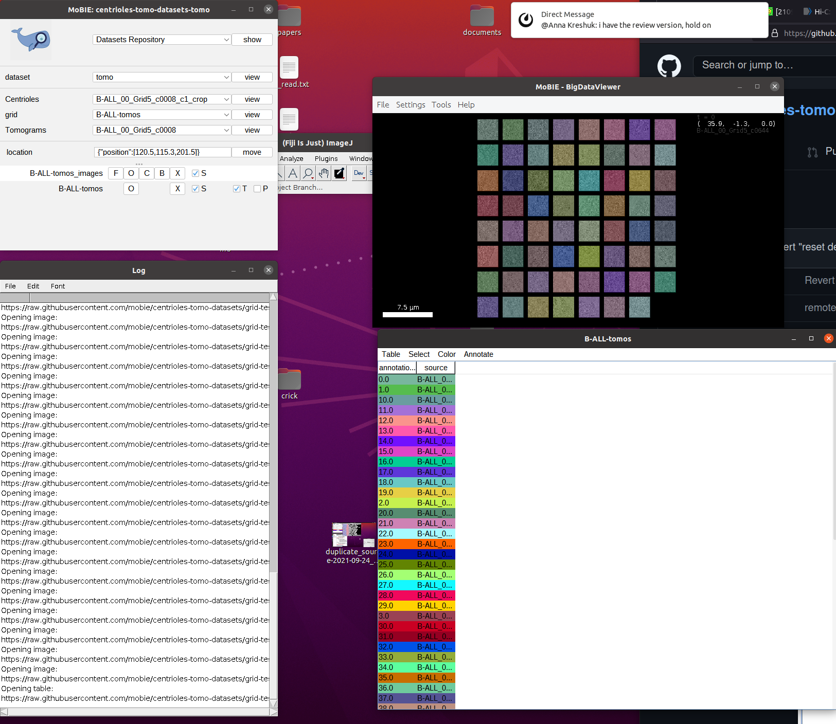 grid table order is wrong · Issue #479 · mobie/mobie-viewer-fiji · GitHub