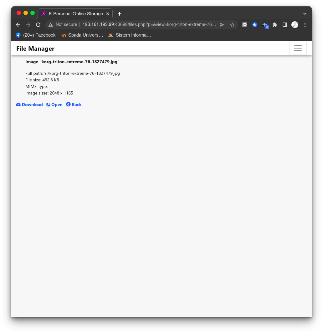 IP address problem · Issue #752 · prasathmani/tinyfilemanager · GitHub