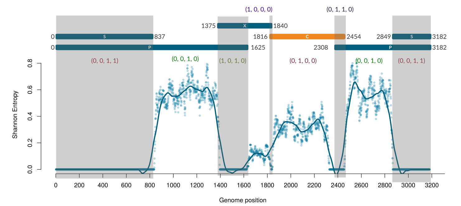 Overlapping regions accumulating more mutations than single ORF region ...