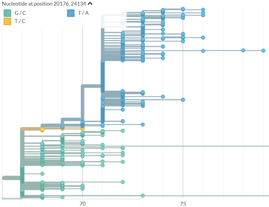 BA.2 sublineage with S:L858I (400+ seq, >10% in Maldives) · Issue #575 ...