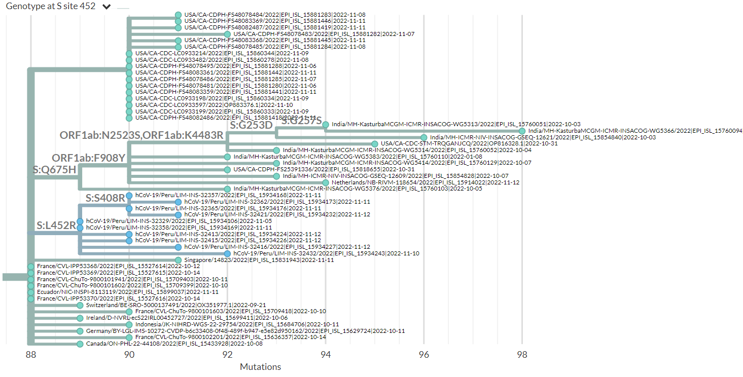 XBB.2 sublineage with S:L452R (10 seq, Peru) · Issue #1381 · cov ...