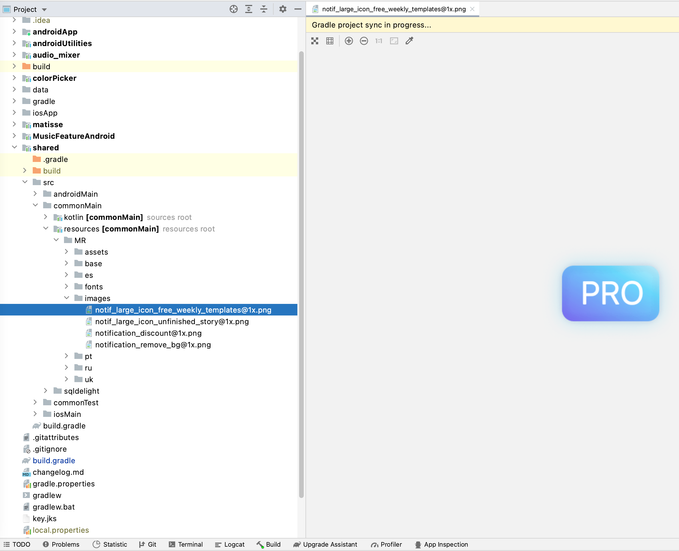 Image resources are not available in IOS app · Issue #297 · icerockdev/moko-resources · GitHub