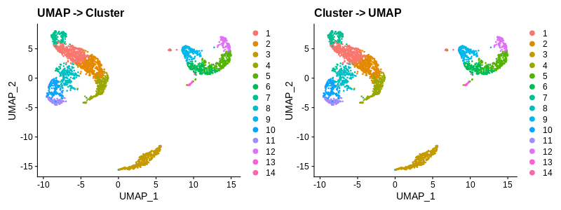 Differences in UMAP before and after clustering, and differences ...